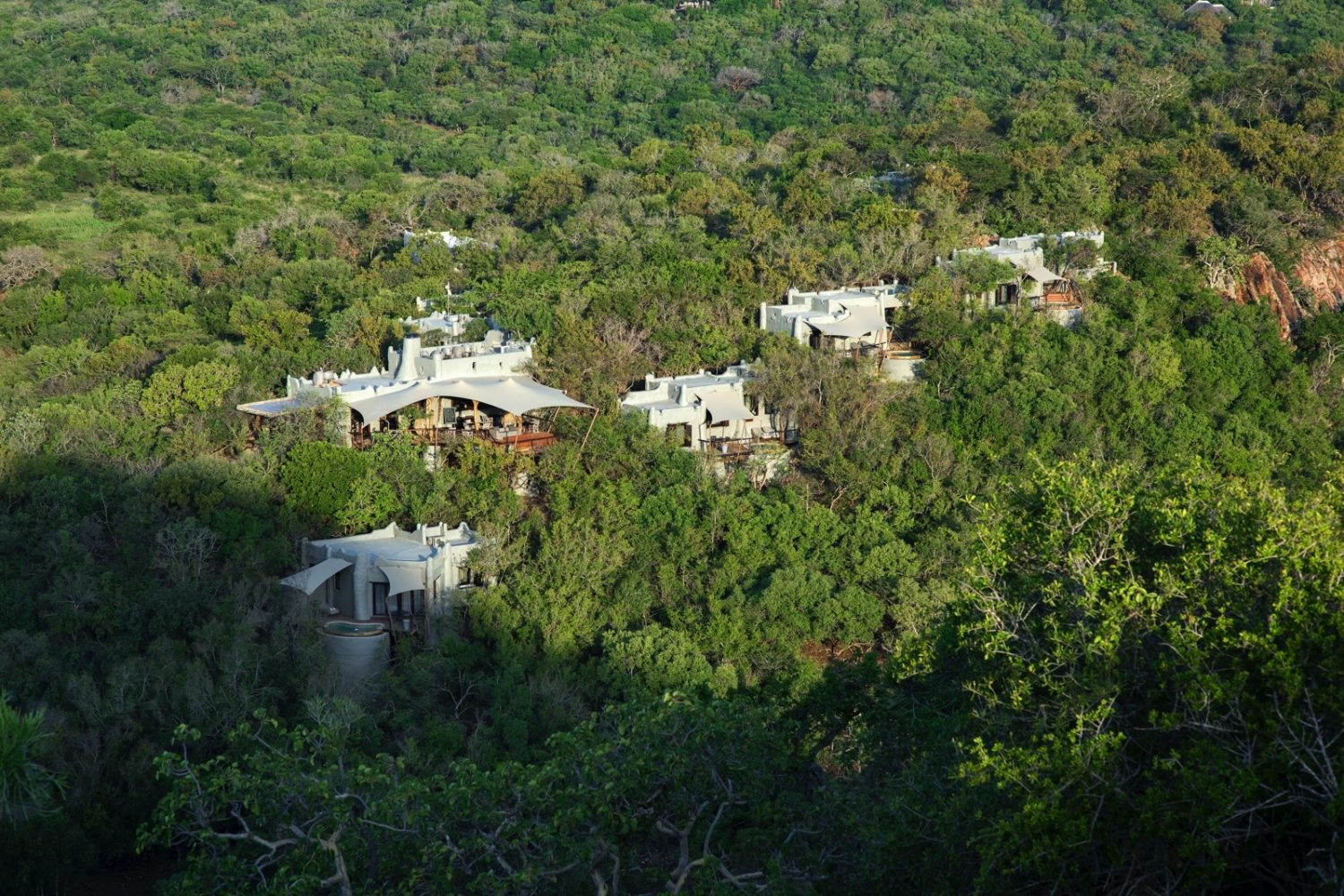 andBeyond Phinda Private Game Reserve | RTC